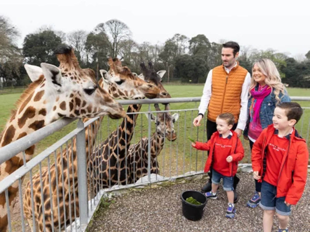 Home - Fota Wildlife Park