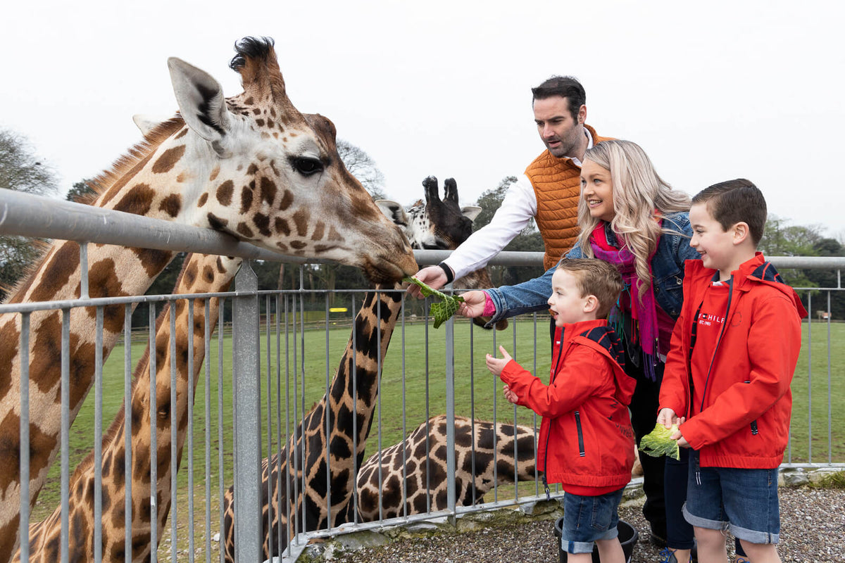 VIP Experiences - Fota Wildlife Park